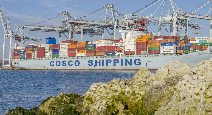 Pause on Section 301 Taxes and Tariffs Is a Welcome Win for U.S. Ports ...